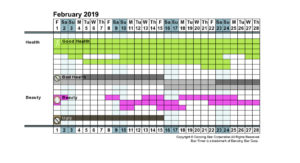 Instant Personal Health & Beauty Calendar